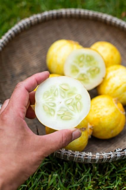 Lemon Cucumber Recipe with Pesto: What is Lemon Cucumber?